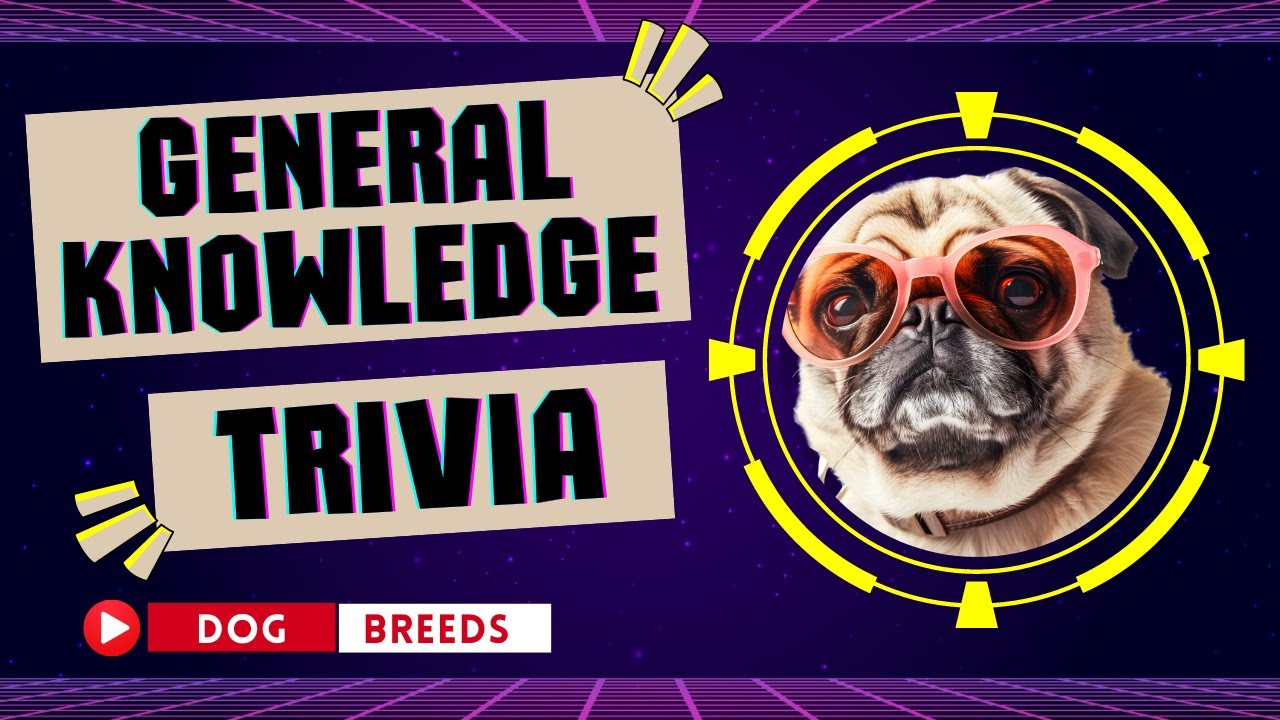 Doggie Trivia! Do you know your dog breeds?? 🐶 #trivia #dog #doglover # ...