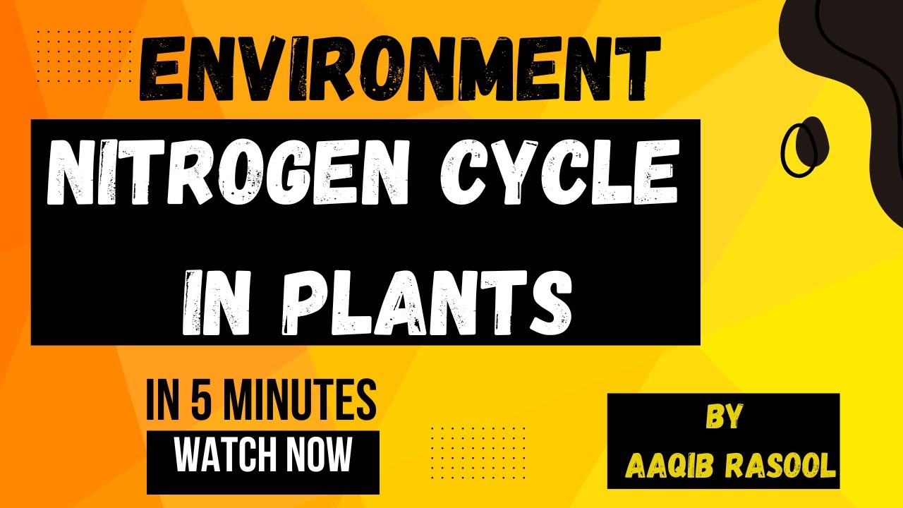 NITROGEN CYCLE in PLANTS (Nitrogen Fixation) for All JKSSB Exams #jkssbsupervisor #jkssb # ...