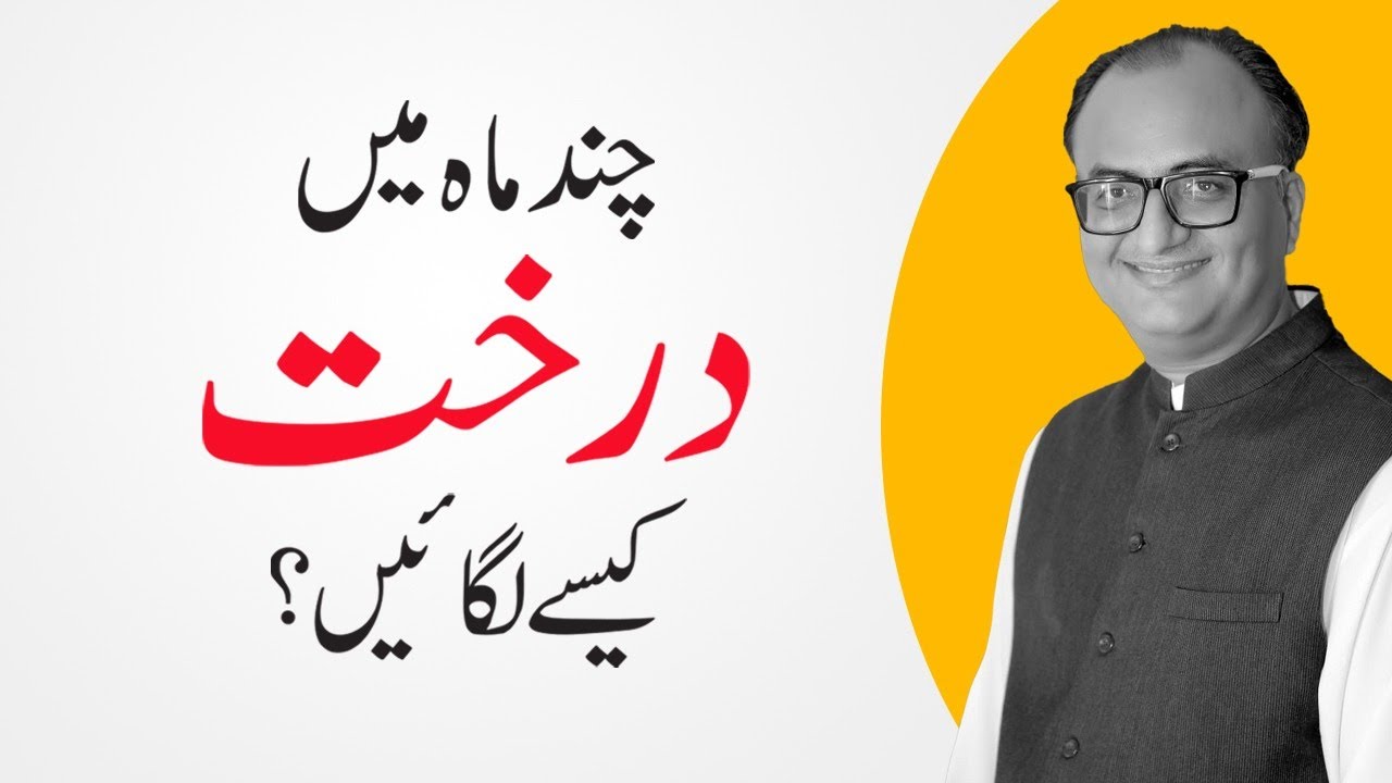 How To Plant A Tree by Rehan Allahwala | Plant Tree For A Clean And ...