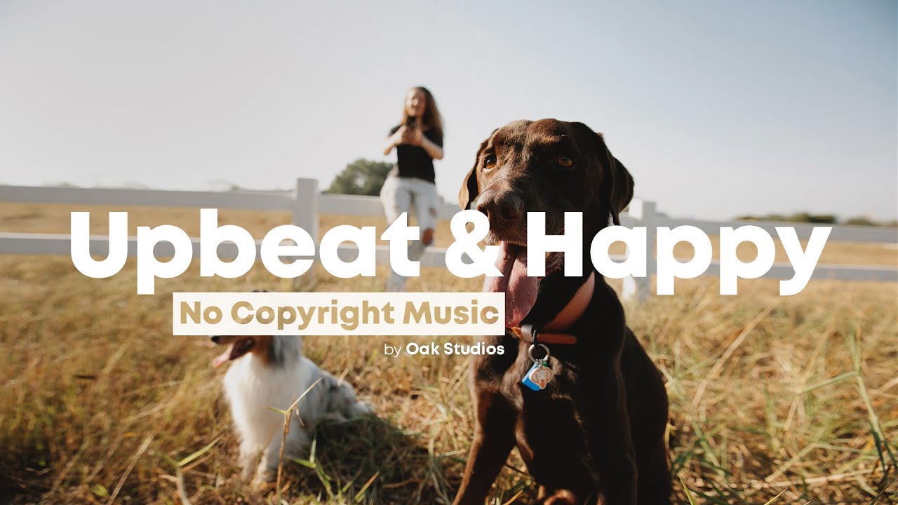[No Copyright Music] Duke & Luna - Upbeat Happy Tutorial Background ...