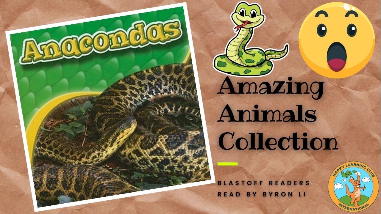 ESL English Stories | Amazing Animals Books - Anacondas - YouTube