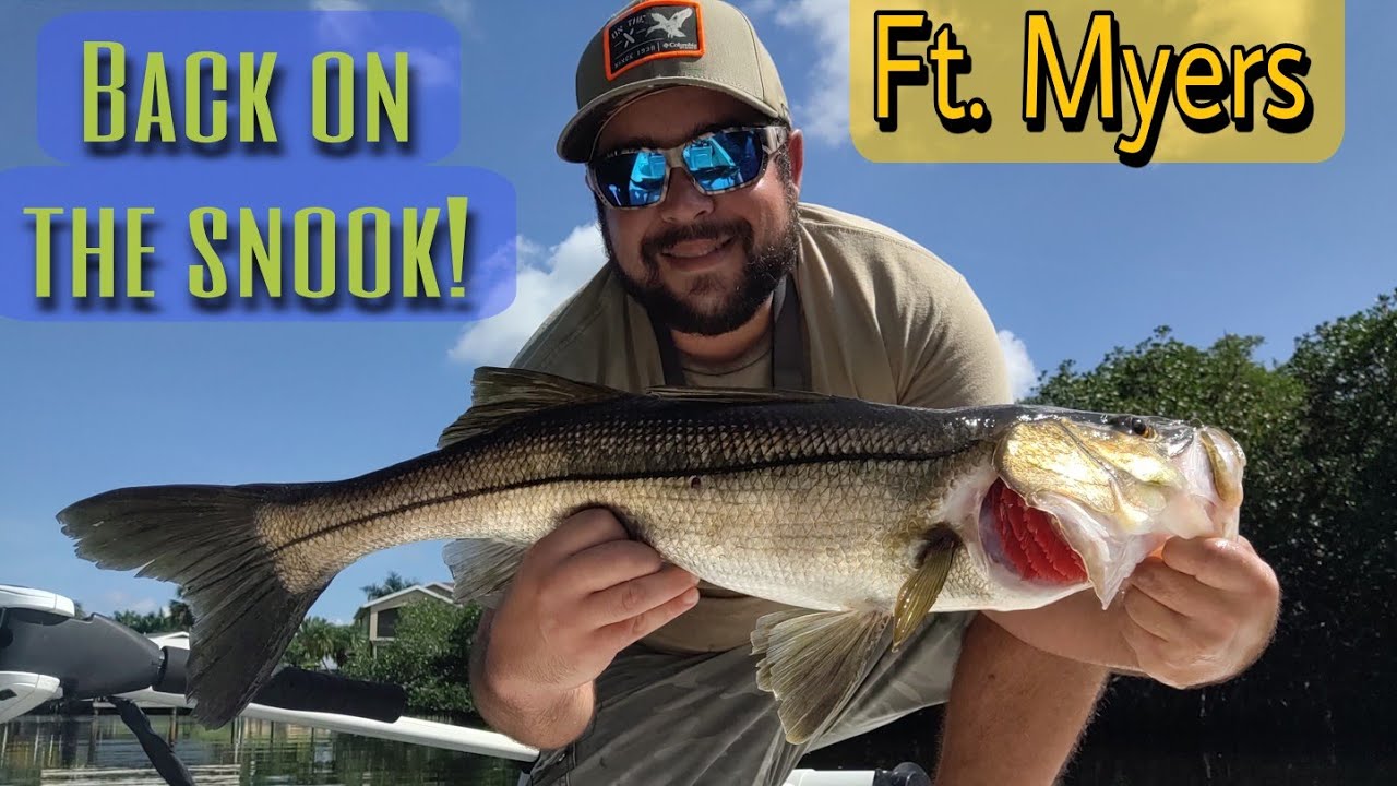 Back on the SNOOK! Mangrove Fishing in Ft. Myers! - YouTube