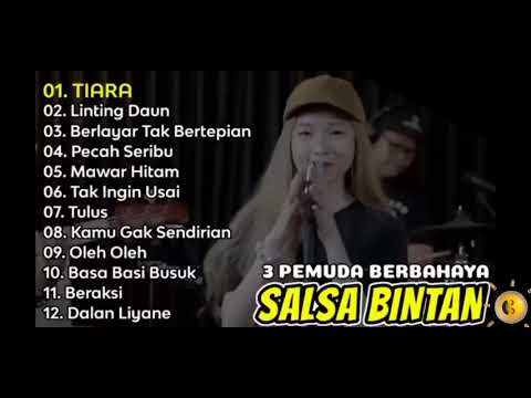 SALSA BINTAN FEAT 3 PEMUDA BERBAHAYA FULL ALBUM - YouTube
