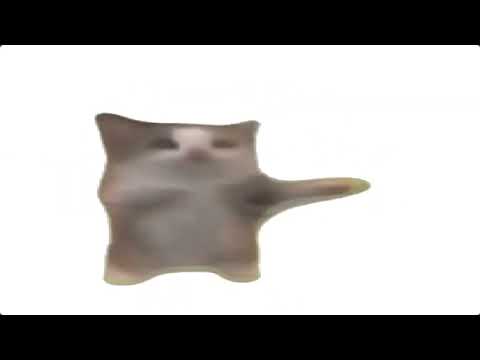 Happy Happy Happy Cat 1 HOUR