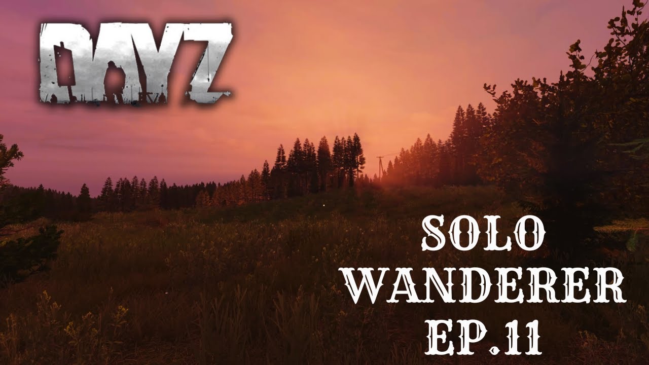 DayZ - Solo Wanderer #11 | Avid Woodsman Weathers The Storm | How a 150 ...