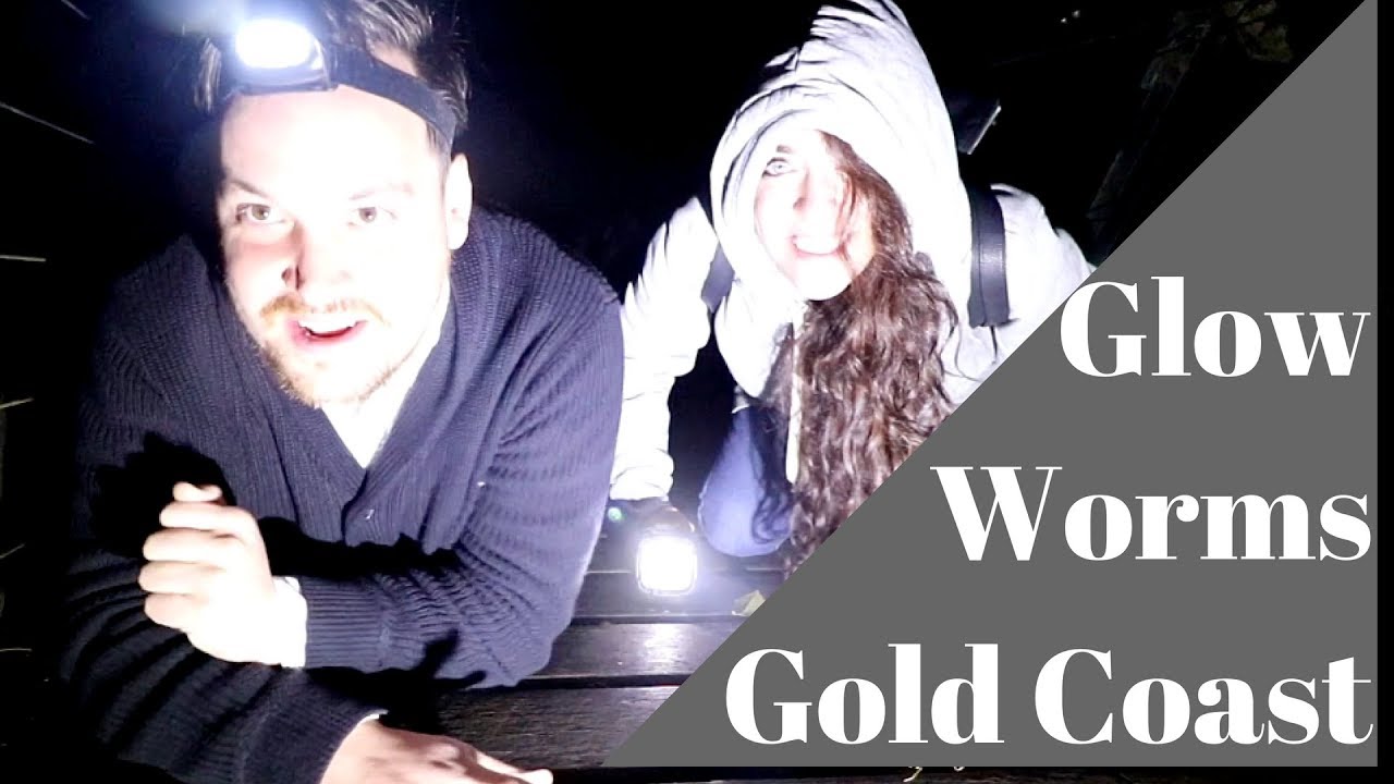The Best Spot for Glow Worms, Springbrook - YouTube
