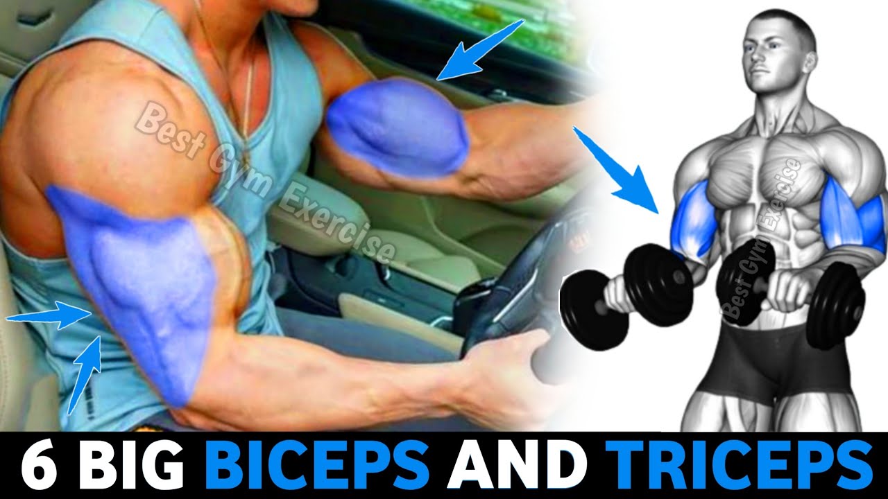 6 Biceps And Triceps Workout At Gym - Arms Workout - YouTube