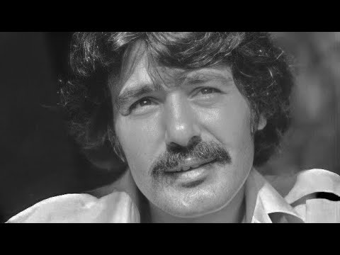 Ferdi Tayfur - Sevgiler Çiçek Gibi (Orijinal Plak Kayıt)