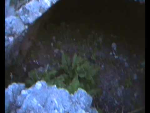 Le cisterne sannitiche di Forchia (Benevento) - YouTube