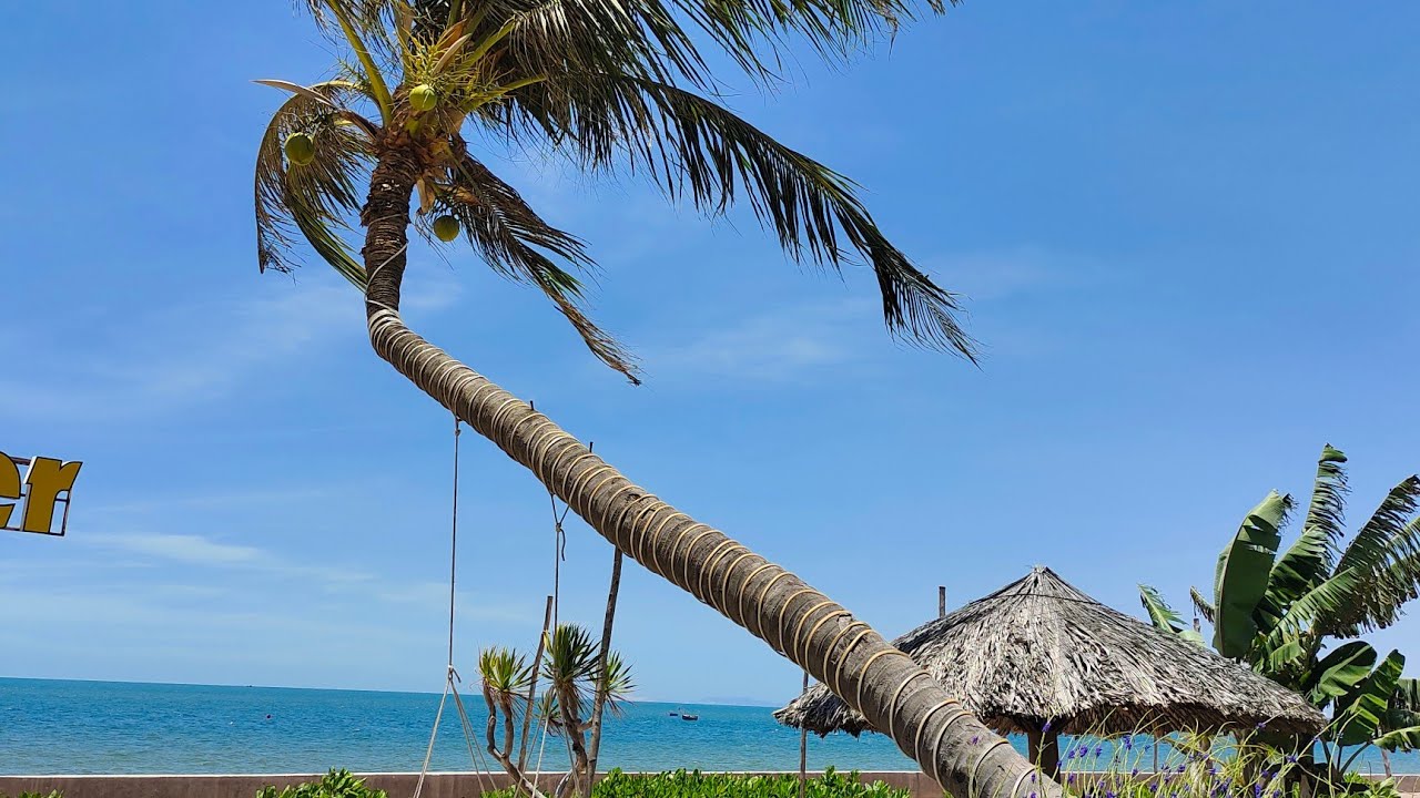 ВЬЕТНАМ. МУЙНЕ. ОТЕЛЬ OCEAN PLACE MUI RESORT 4* ЗАВТРАК. ПРАВИЛА ...