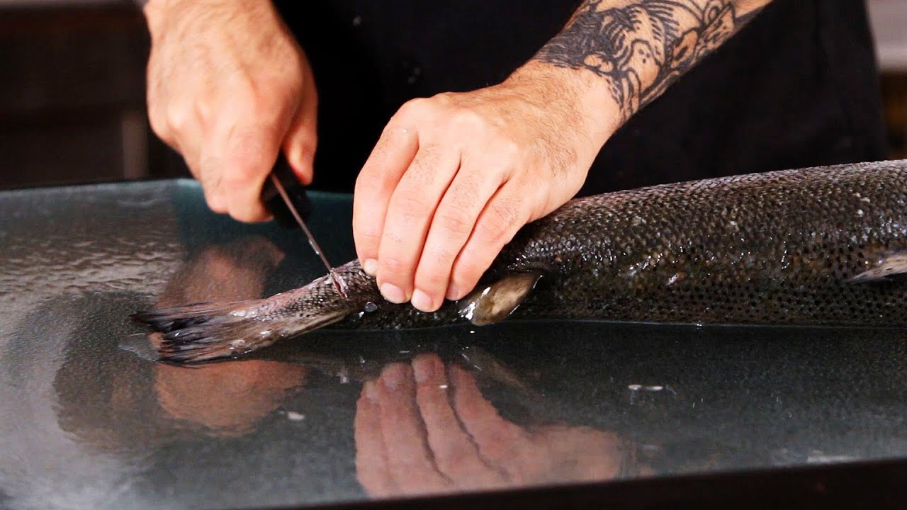 Making Initial Cuts to Fillet Salmon | Fish Filleting - YouTube
