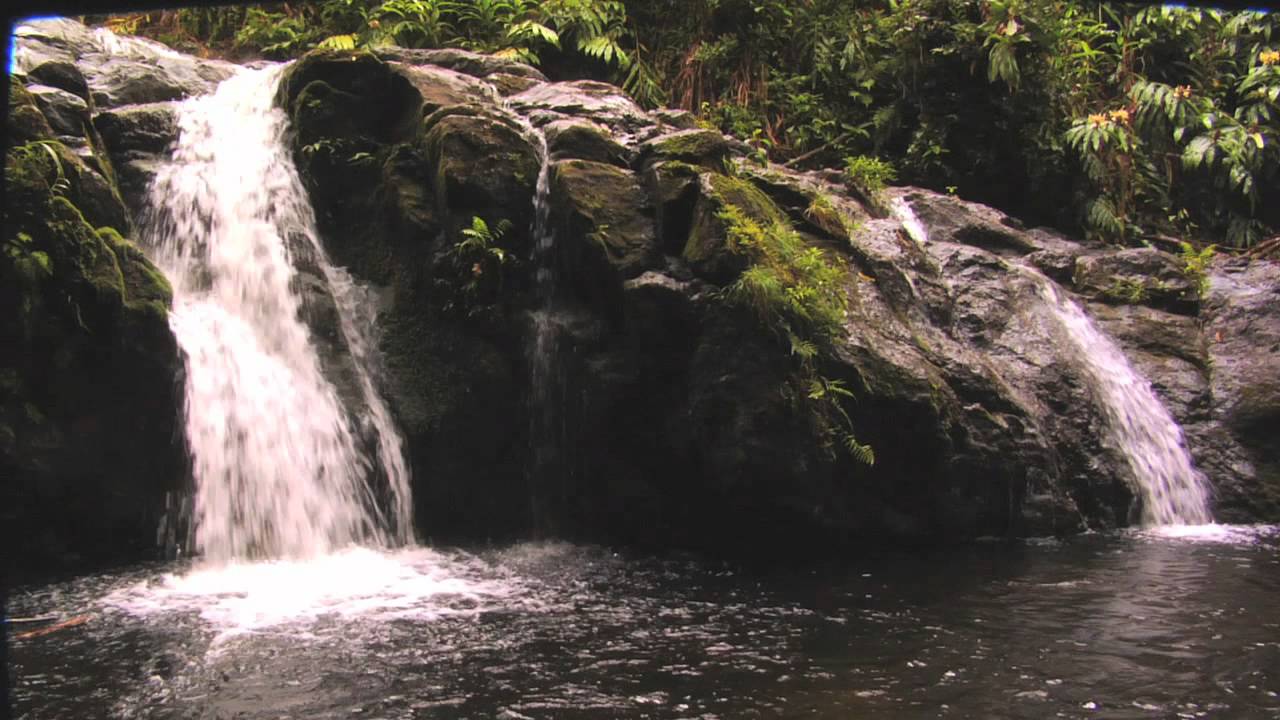 Aloha From Maui - "A Hana Highway Waterfall" - YouTube