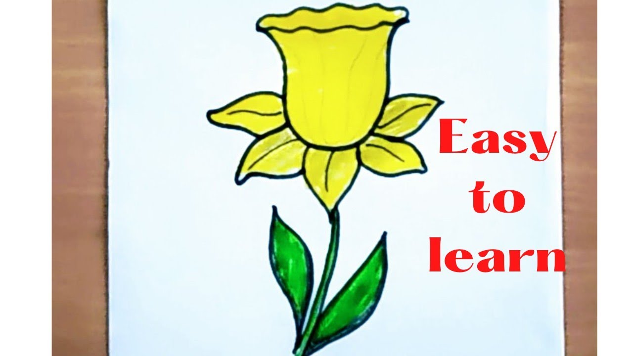 How to draw a Deffodil flower | step by step drawing | easy drawing ...