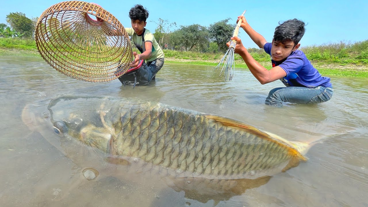 Amazing Fishing in Pond | Traditional Fish Catching By Polo And Teta ...