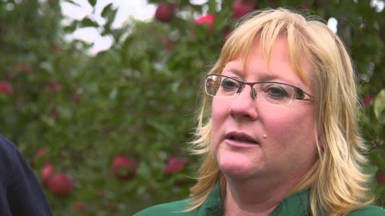 Using Science to Support Michigan Apple Growers - YouTube