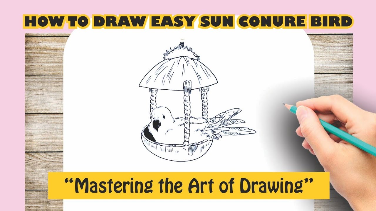 How to Draw Easy Sun Conure Bird - YouTube