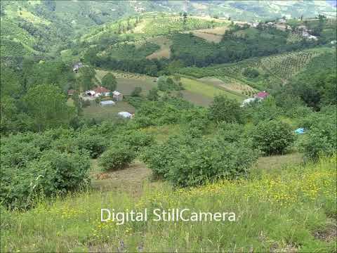 Çarşambayı sel aldı-zara