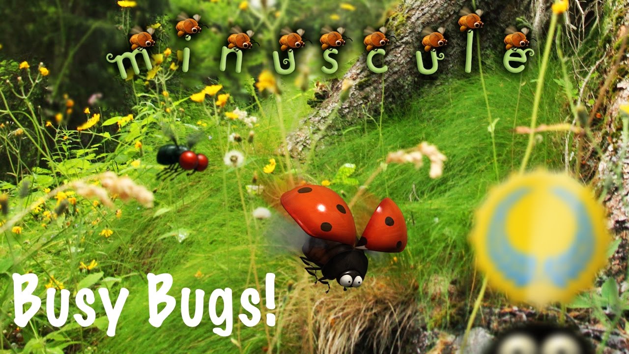 minuscule Busy Bugs! official mobile game trailer - YouTube