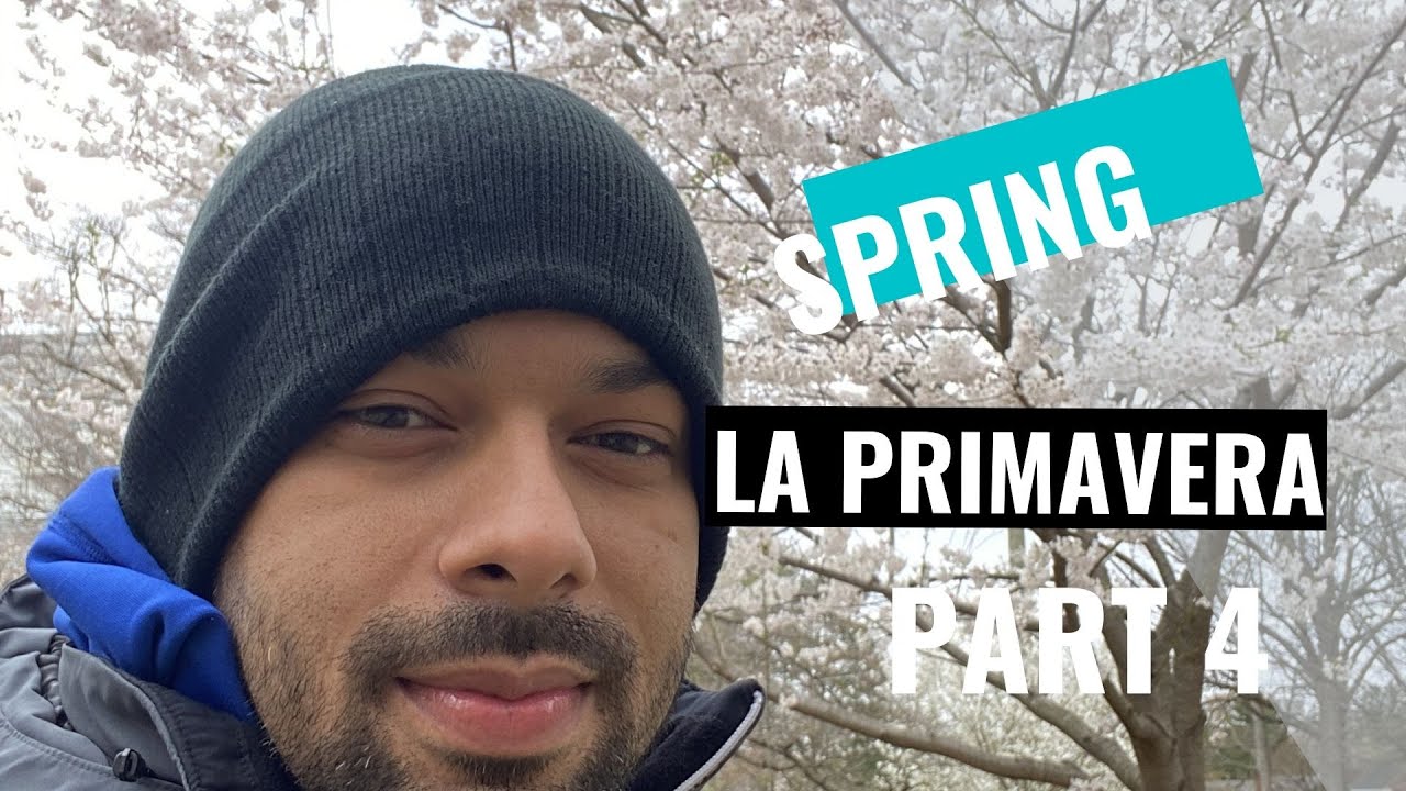 Spring Vocabulary in Spanish for Kids - Vocabulario de la Primavera en ...