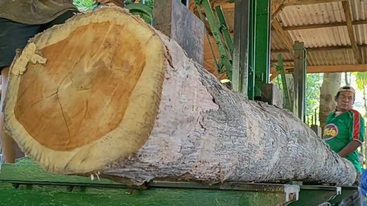 5M golden teak wood! The process of making enchanting joglo wood beams ...