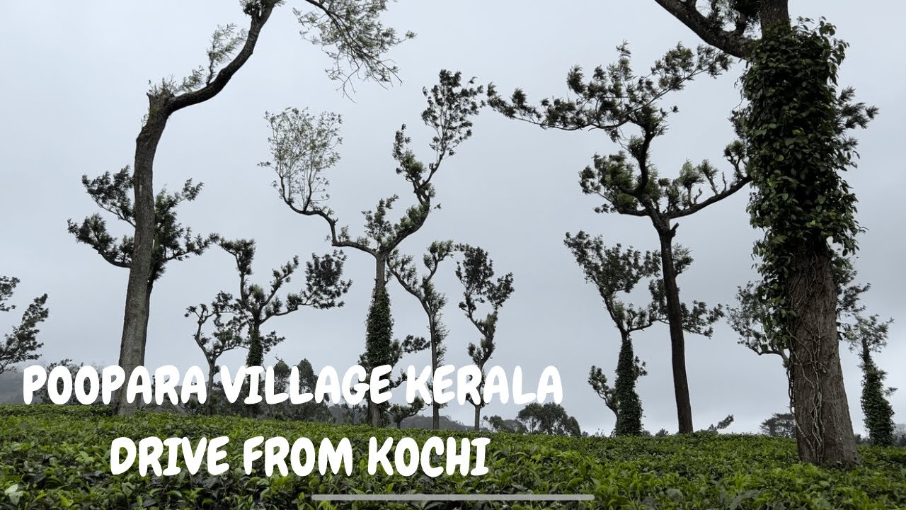Poopara Idukki Kerala 4K I Scenic Drive From Kochi to Poopara - YouTube