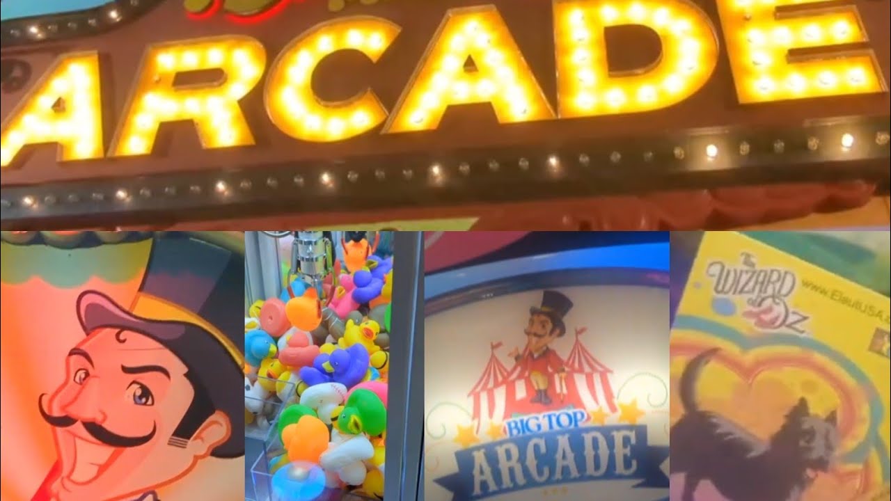 Big Winners At BIG TOP ARCADE PIGEON FORGE TN (Stan Lee Collectible ...