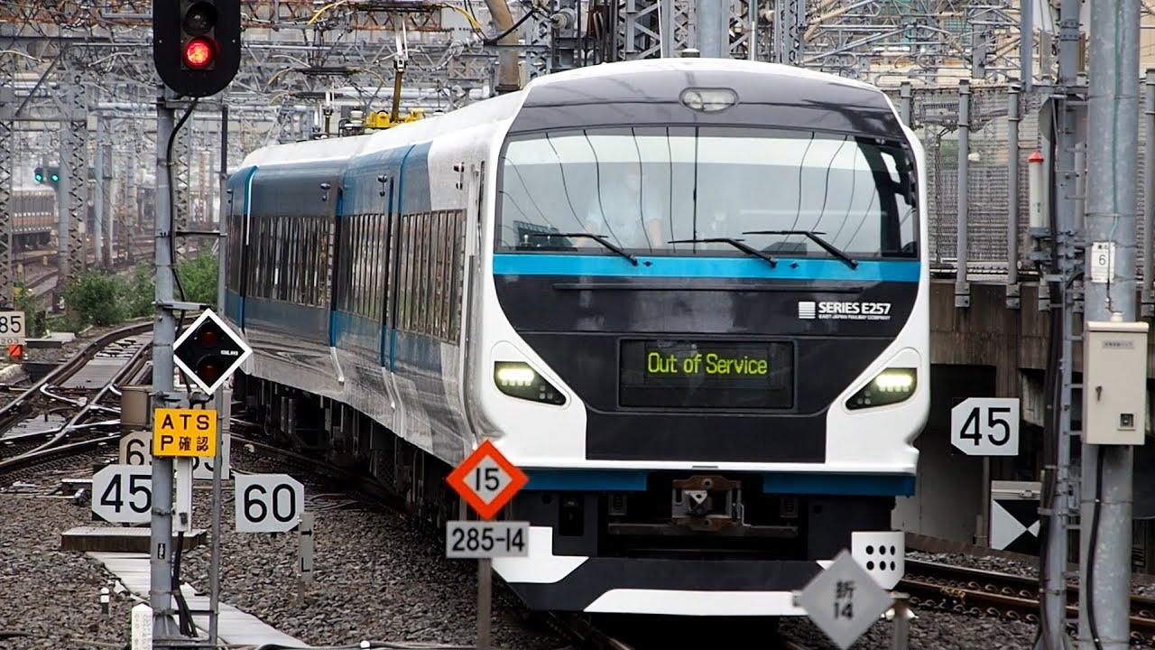 2020/06/25 【運用復帰】 踊り子7号 E257系 NA-04編成 東京駅 | JR East: "Odoriko #7" E257 Series NA-04 Set at Tokyo ...