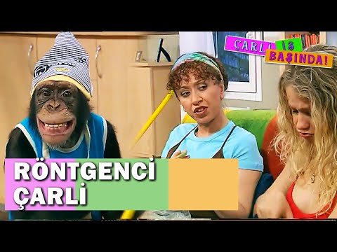 Cilvenaz'ın Hırsızı Yakalandı - Çarli İş Başında 16. Bölüm