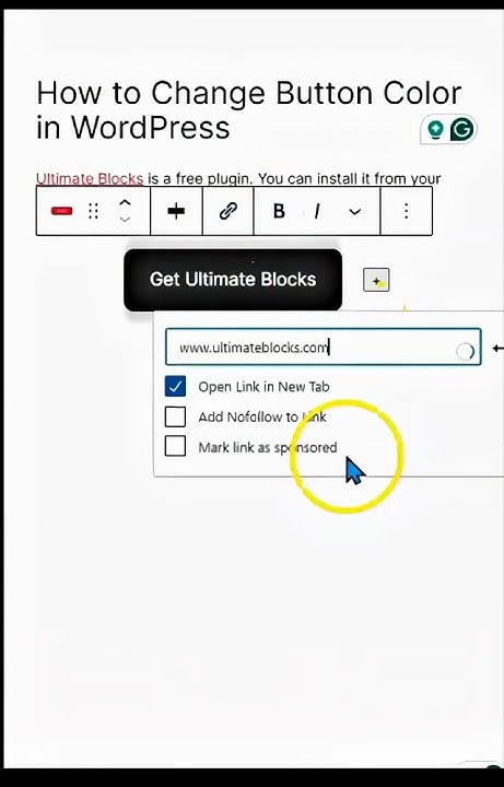 How to Change the Button Size in WordPress - YouTube