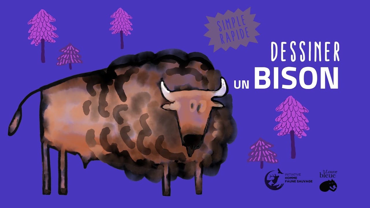 Tuto dessin facile d'un Bison - niveau ce1-ce2 - YouTube