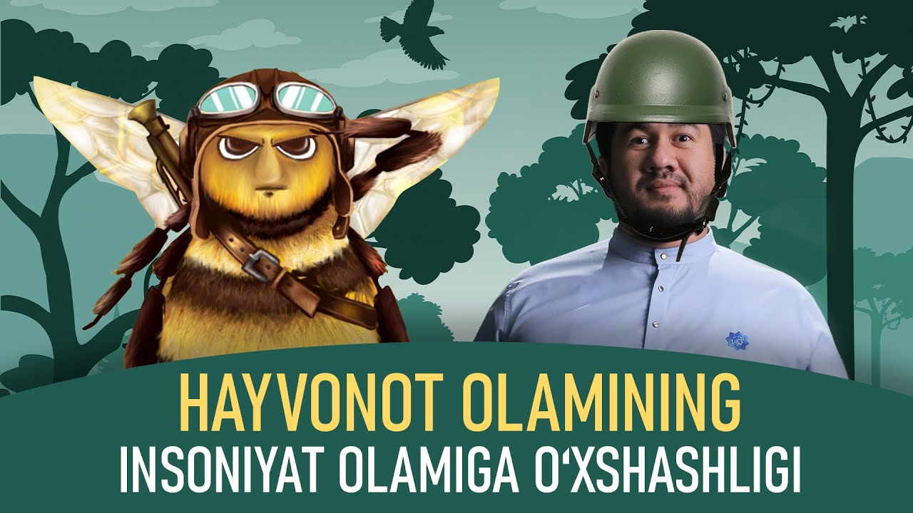 Hayvonot olami insoniyat olamiga o'xshaydimi? | Allohning mo'jizalari ...