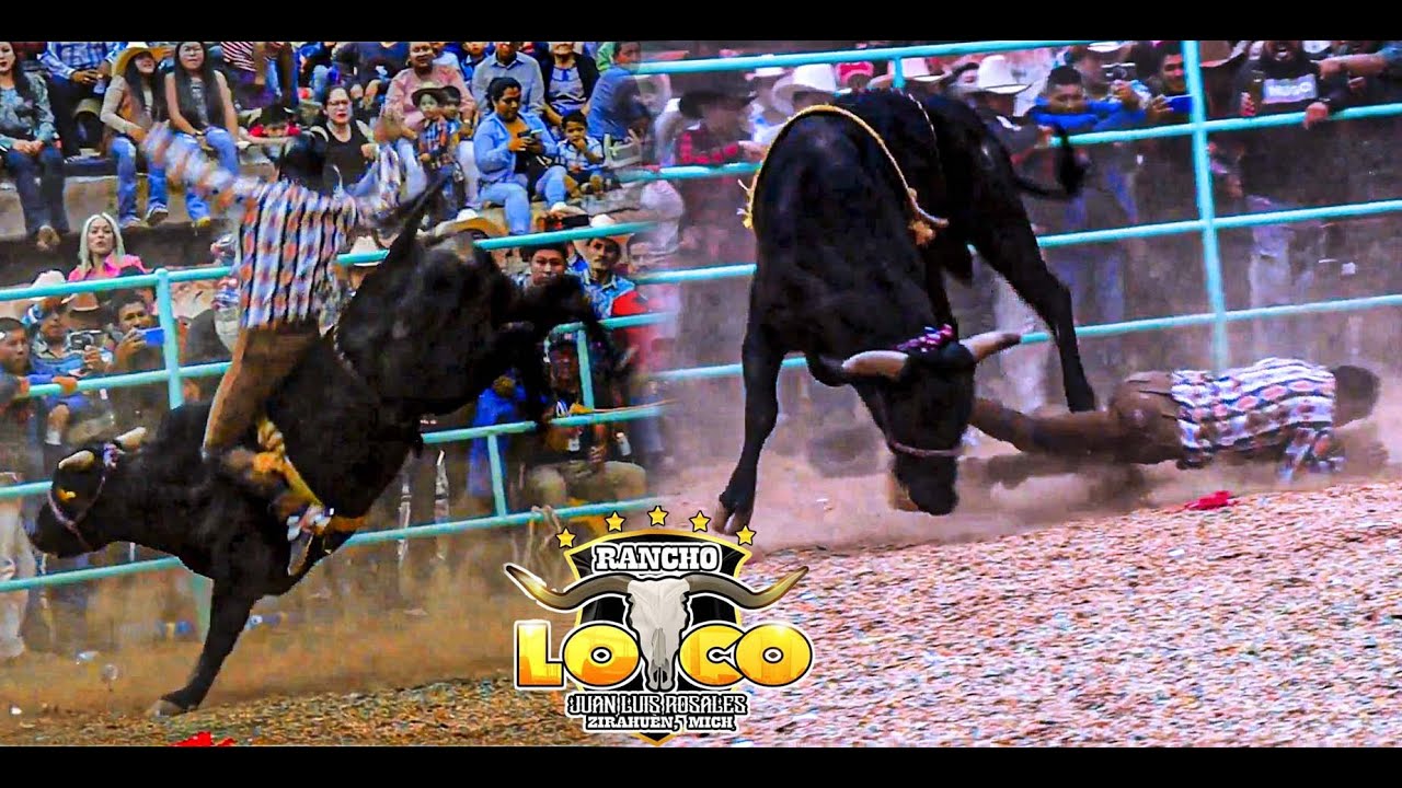 DESDE SUS MERITAS TIERRAS LOS TOROS TORBELLINOS DE RANCHO LOCO EN ...