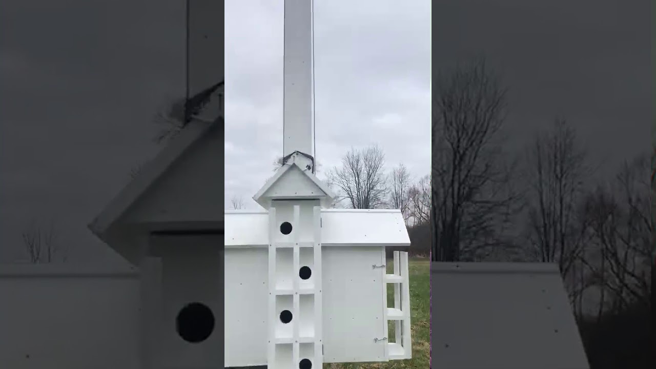 Our new purple martin box - YouTube