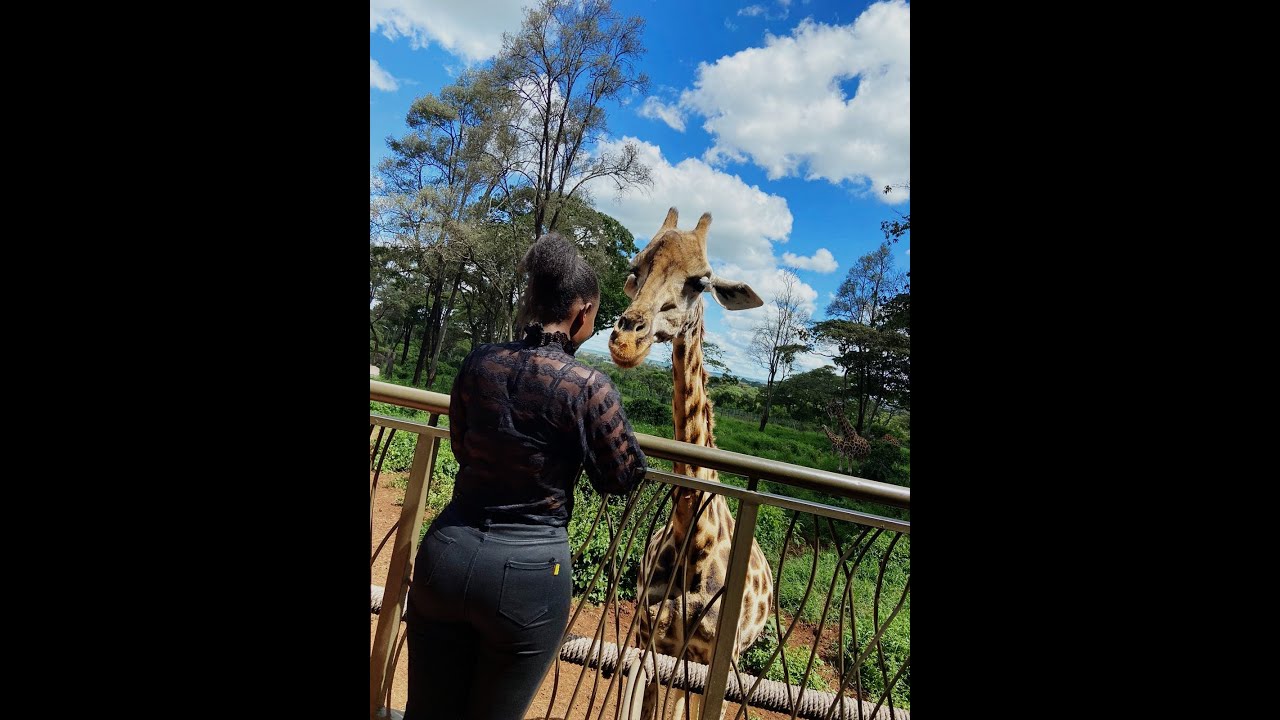 Ice Skating// Giraffe Centre// The Weekend That Was - YouTube