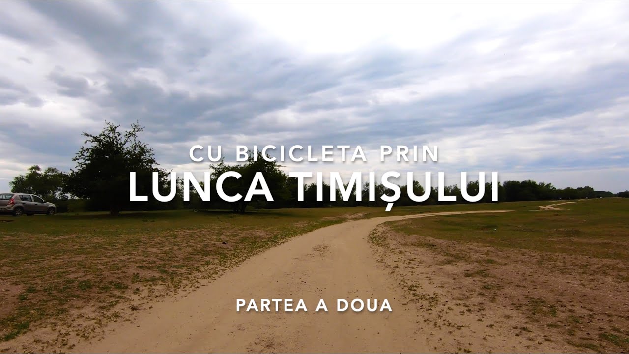 Lunca Timisului 2 - Pe Malul Raului Timis - Banat - Judetul Timis pe ...