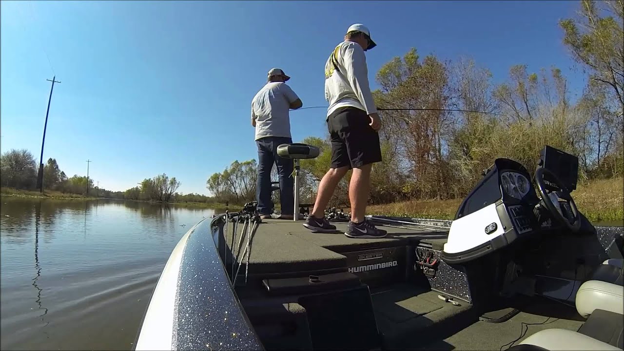 Atchafalaya Swamp Fishing (Henderson, LA) - YouTube
