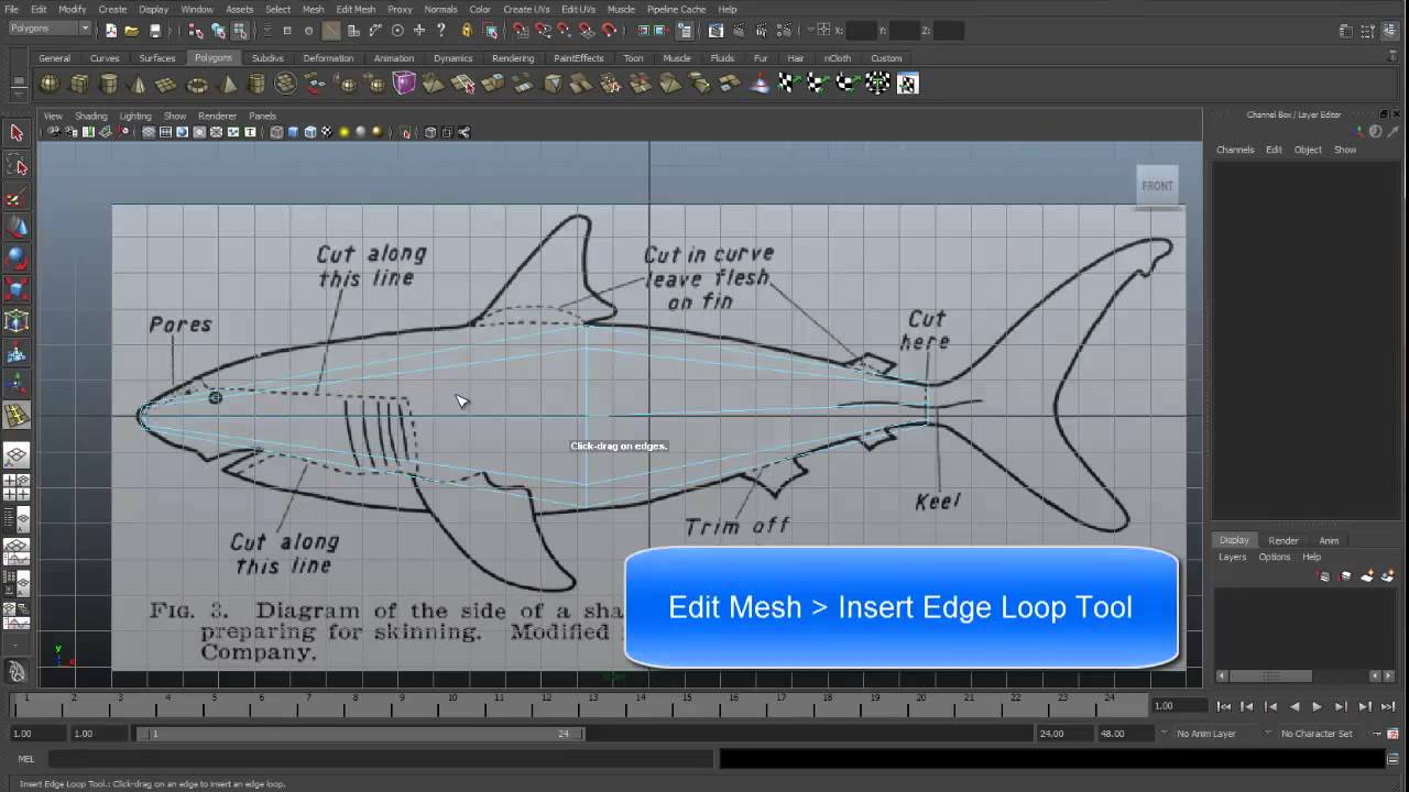 Modeling a Shark - Pt 1 - YouTube