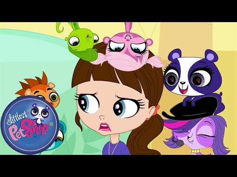 Littlest Pet Shop | Blythe’s Big Adventure – Part One | Season 1 | Pet Cartoon