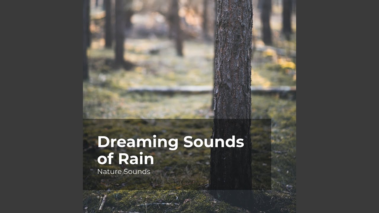 Stream Flowing Swiftly - YouTube