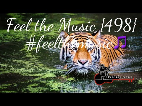 Feel the Music {498} #feelthemusic🎵 #shorts #trending