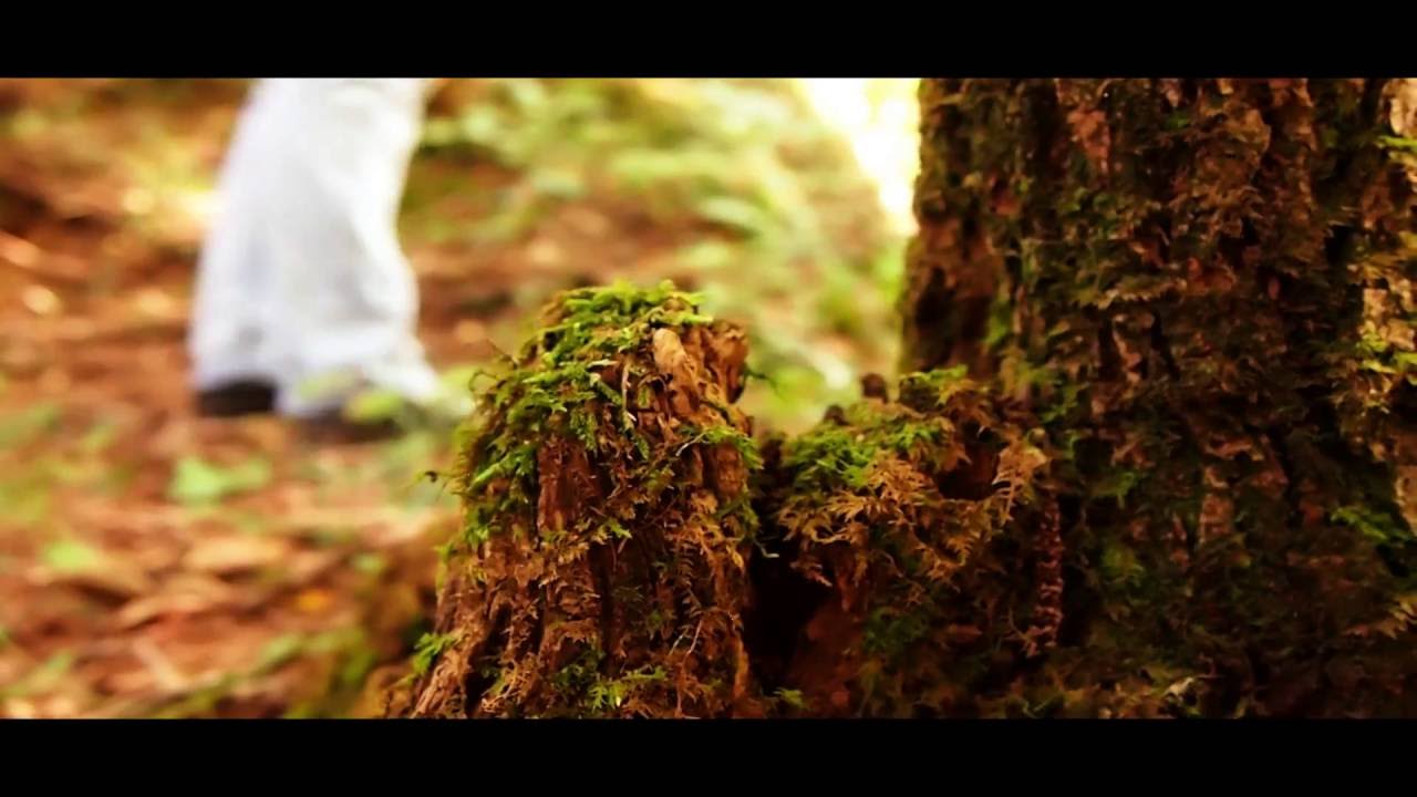 In The Wood (horror short film) - YouTube