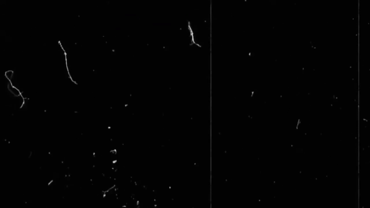 sad overlays #sad overlays #overlays #black overlays #best overlays ...