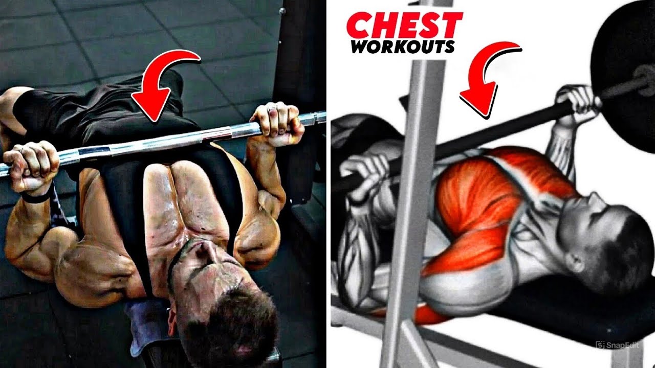 Build a Massive Chest FAST – 8 Best Exercises for Size, Power & Perfect ...