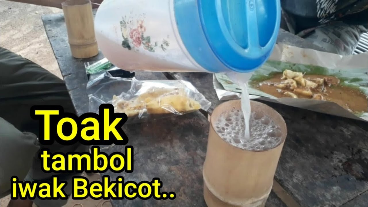 Asyik minum Toak legen Siwalan bersama teman di Kebun Kampung Pedesaan ...