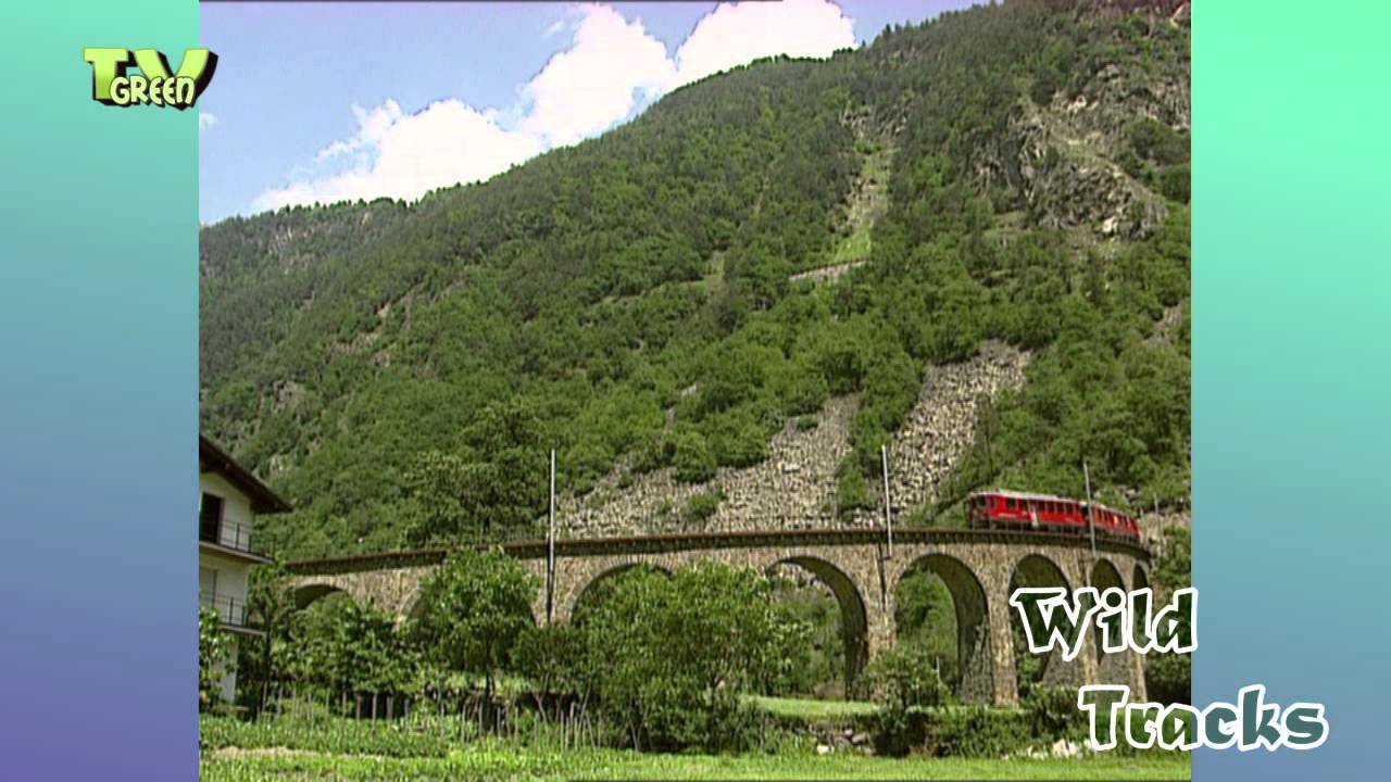 Wild Tracks: Alpine Track - Swiss Alps #06 - YouTube