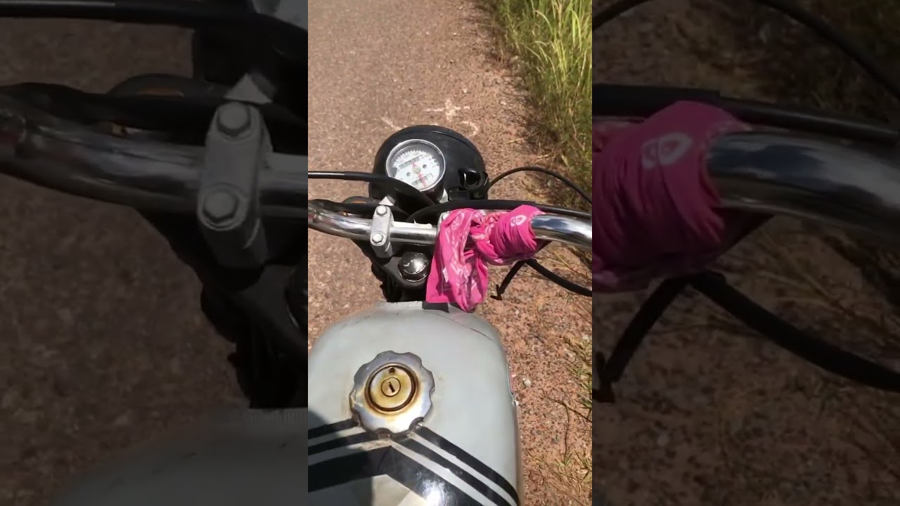 Elephants crossing 📍Khum Trapeang Rung, Koh Kong, Cambodia - YouTube