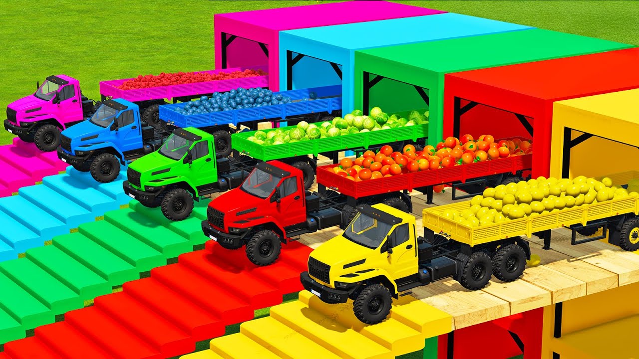 LOAD ORANGES, BLUEBERRIES, LEMONS, RASPBERRIES & WHITE CABBAGE WITH ...