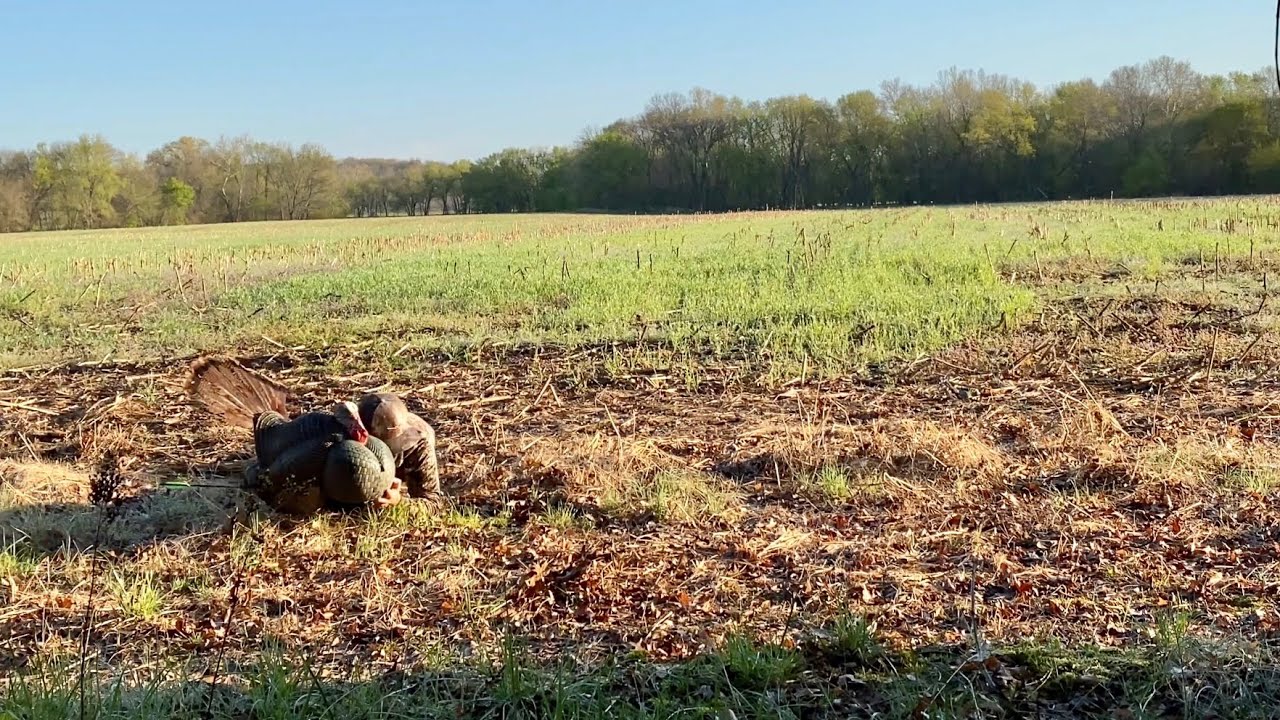 Short hard trip to chase turkeys in Missouri - YouTube