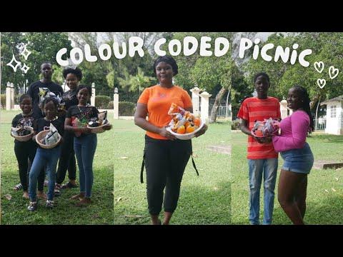 Colour Coded Picnic *family edition* MUST WATCH!! - YouTube