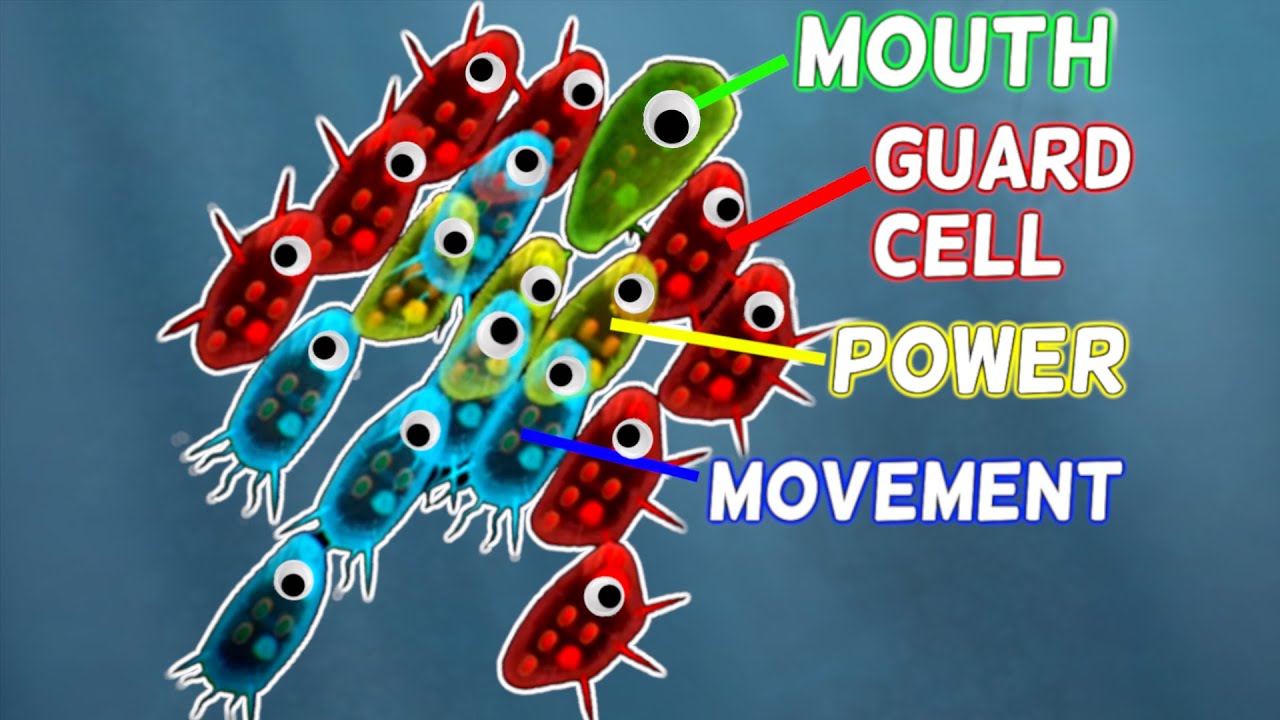 I Become A Multicellular MESS In Thrive | Thrive Gameplay - YouTube